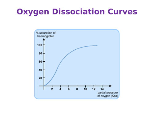Dissociation Curves - OCR AS/A Level Biology | Teaching Resources
