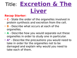 Excretion & The Liver - OCR AS/A Level Biology | Teaching Resources