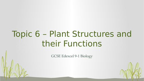 Edexcel GCSE 9-1 Biology Topic 6 – Plant Structures and their Functions ...