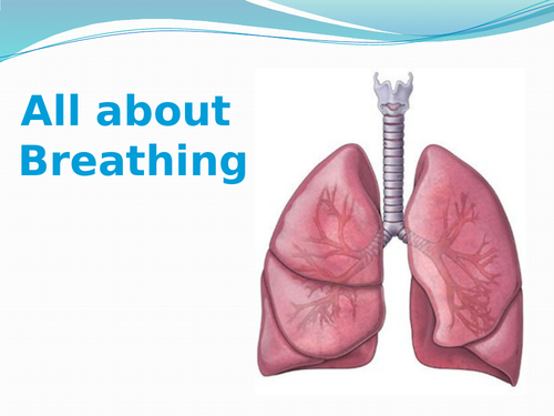 Lungs & Breathing | Teaching Resources