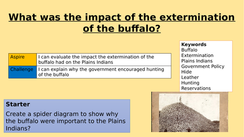 Edexcel: The American West - The destruction of the Buffalo | Teaching ...