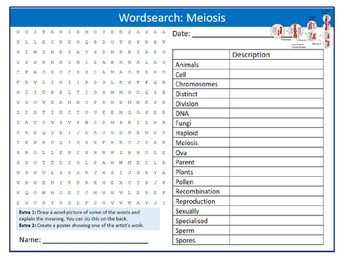 Meiosis Wordsearch Puzzle Sheet Keywords Settler Starter Cover Lesson ...