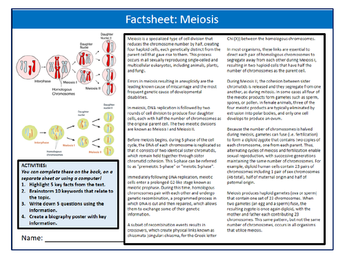Meiosis Factsheet Worksheet Keywords Settler Starter Cover Lesson ...