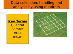 Data collection, handling and analysis: using quadrat | Teaching Resources