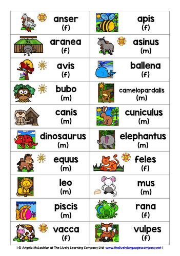 PRIMARY LATIN ANIMALS CARDS | Teaching Resources