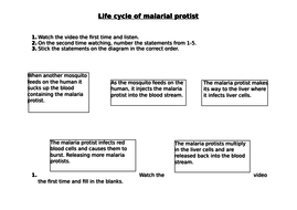 AQA GCSE 9-1 - Malaria (Protist disease) | Teaching Resources