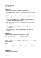 French – Describing People – Physical Descriptions & Characteristics ...