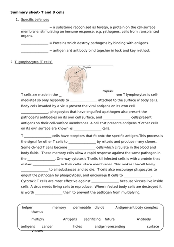 AQA A level Immune response bundle | Teaching Resources
