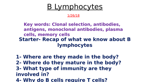 AQA A level Immune response bundle | Teaching Resources