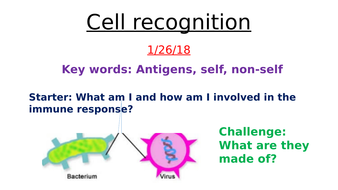 AQA A level Immune response bundle | Teaching Resources