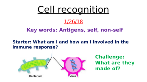 AQA A level Immune response bundle | Teaching Resources