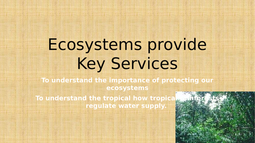 Theme 3 - Lesson 3B - Ecosystems provide Key Services | Teaching Resources