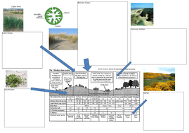Theme 3 - Lesson 6 - Sand Dunes | Teaching Resources