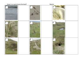 Theme 3 - Lesson 6 - Sand Dunes | Teaching Resources