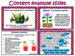 Plants - Year 3 | Teaching Resources