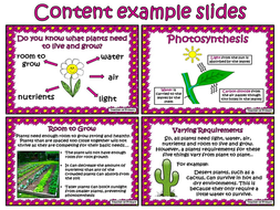 Plants - Year 3 | Teaching Resources