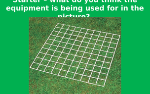 Quadrat Sampling | Teaching Resources