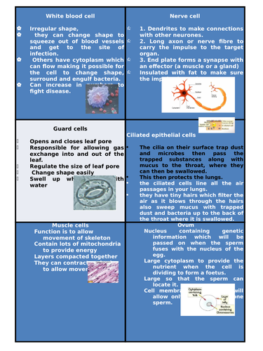 AQA B1 - Cell Biology - 12 Lessons | Teaching Resources