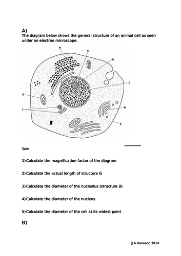 AQA B1 - Cell Biology - 12 Lessons | Teaching Resources