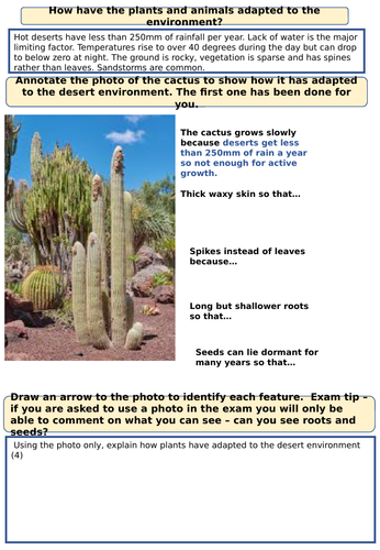 AQA 9-1 Living World: Desert Ecosystem - Plant and Animal Adaptations ...