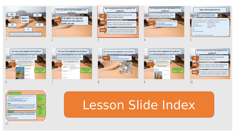 AQA 9-1 Living World: Desert Ecosystem - Plant and Animal Adaptations ...