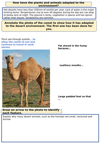 AQA 9-1 Living World: Desert Ecosystem - Plant and Animal Adaptations ...