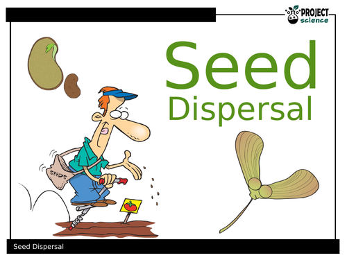 Seed Dispersal PowerPoint | Teaching Resources