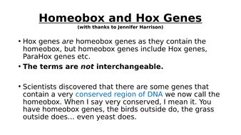 Homeobox and Hox genes for OCR A-level Biology H420 | Teaching Resources
