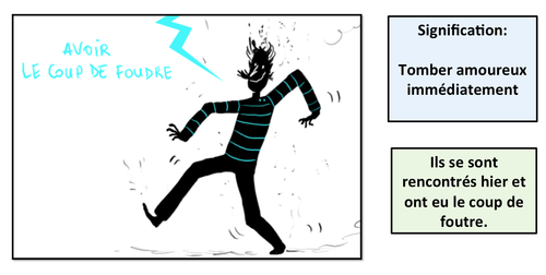 Les expressions idiomatiques francaises/ French idioms | Teaching Resources