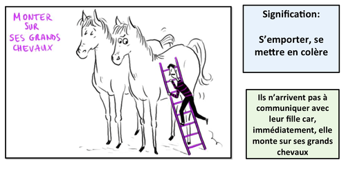 Les expressions idiomatiques francaises/ French idioms | Teaching Resources