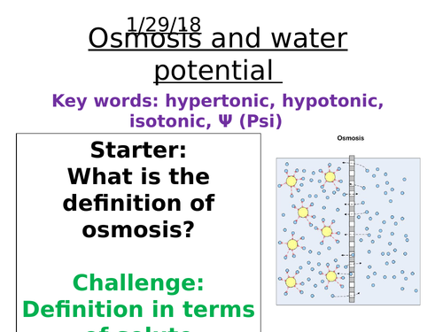 AQA A Level Biology Osmosis and Water Potential | Teaching Resources