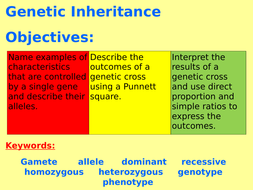 AQA Biology New GCSE (Paper 2 Topic 2) – Inheritance, variation + evolution (4.6) TRILOGY ONLY ...