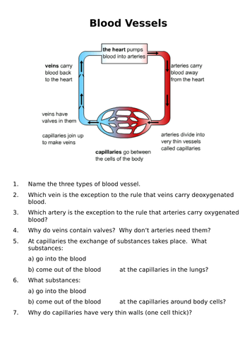 New GCSE AQA The Heart and Blood Vessels | Teaching Resources