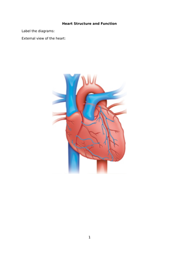 New GCSE AQA The Heart and Blood Vessels | Teaching Resources