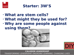 New GCSE AQA Stem Cells | Teaching Resources