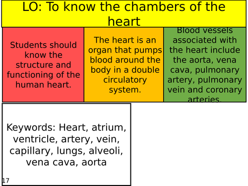 The Heart | Teaching Resources