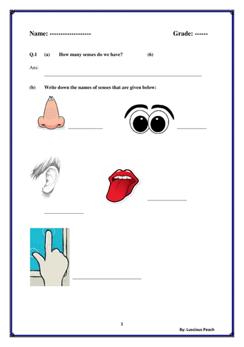 Science Paper grade 1 | Teaching Resources