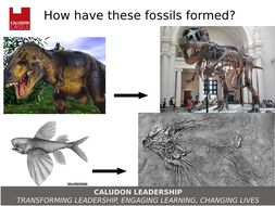 New GCSE AQA Fossils | Teaching Resources