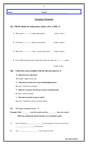 Grade 3 English term Exam paper with grammar, reading comprehension and ...