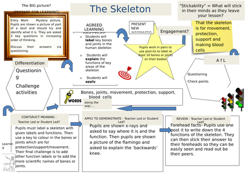 The Skeleton | Teaching Resources