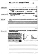 New GCSE AQA Aerobic and Anaerobic Respiration | Teaching Resources