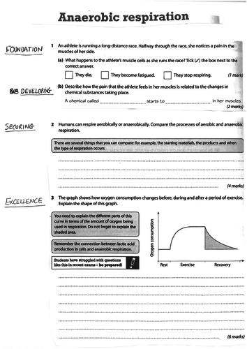 New GCSE AQA Aerobic and Anaerobic Respiration | Teaching Resources