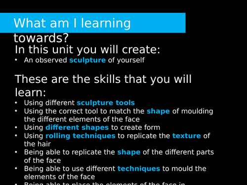 KS3 Art & Design: AFL checklist and vocabulary Term 2 | Teaching Resources