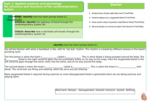 EDEXCEL GCSE PE 2016 REVISION RESOURCE - CV SYSTEM -pathway of blood ...