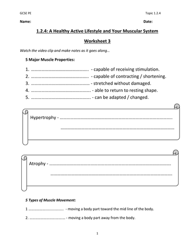GCSE PE - Muscular System | Teaching Resources GCSE PE - Muscular System | Teaching Resources