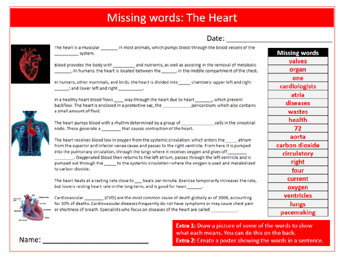 The Heart Missing Words Cloze Sheet Keywords Settler Starter Cover ...