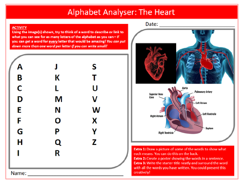 The Heart Alphabet Analyser Sheet Keywords Settler Starter Cover Lesson Science Biology ...