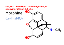 MOLECULAR MODELLING CHALLENGE using Molymods (or use as posters ...