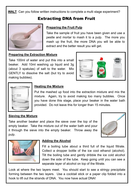 Stem cells - with chance to upgrade or challenge work from week 1-3 ...