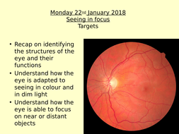 Eye lessons for AQA Biology GCSE | Teaching Resources